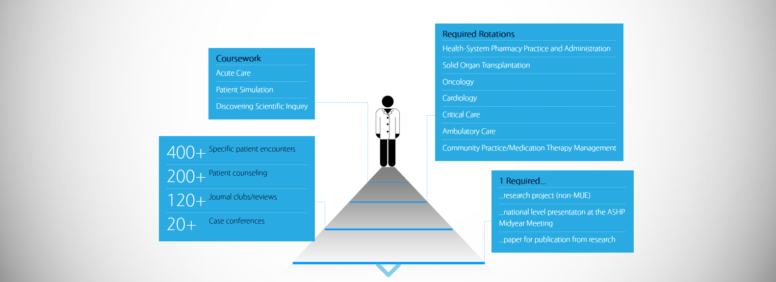 Pharmacotherapy Scholars Program | School of Pharmacy